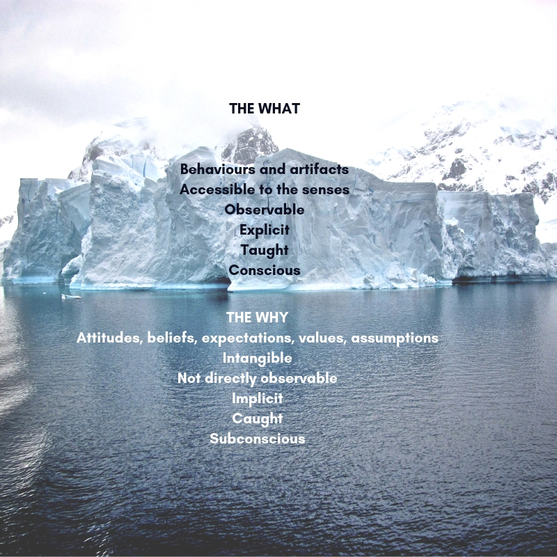 What Lies Beneath: Recognizing Cultural "Icebergs" - Go. Serve. Love